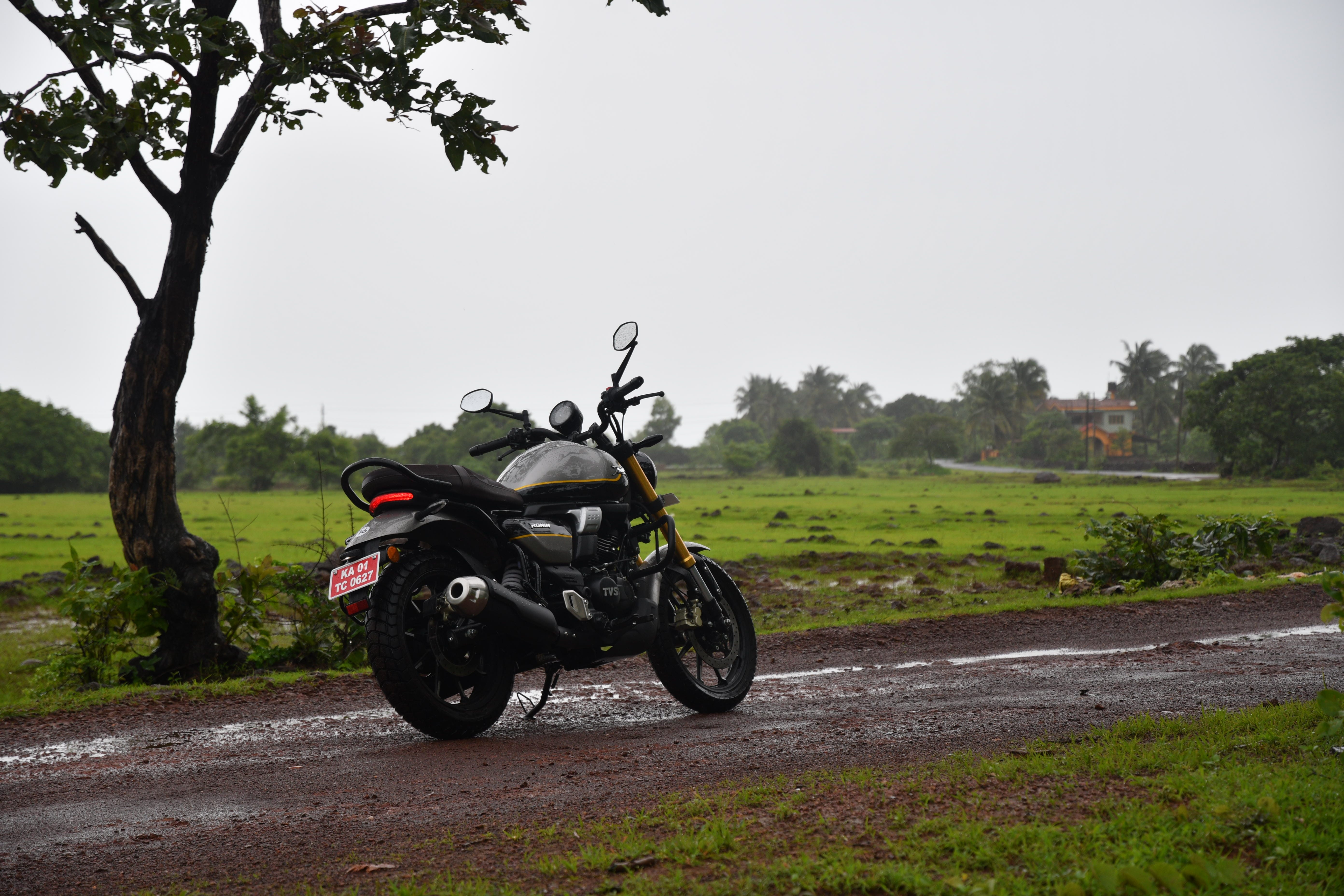 TVS Ronin Image – Ronin Photos in India | Autocar India