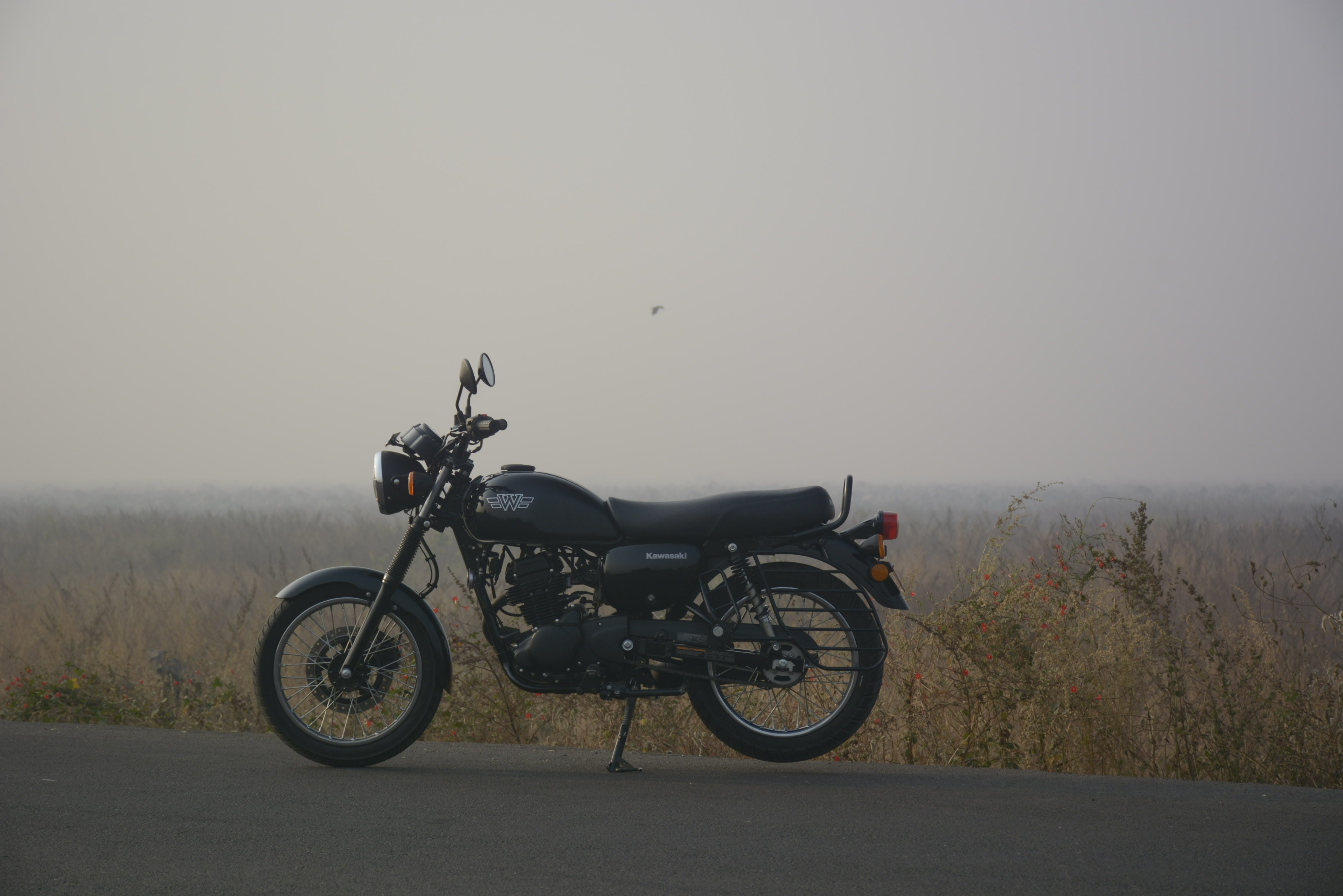 Kawasaki W175 Image – W175 Photos in India | Autocar India
