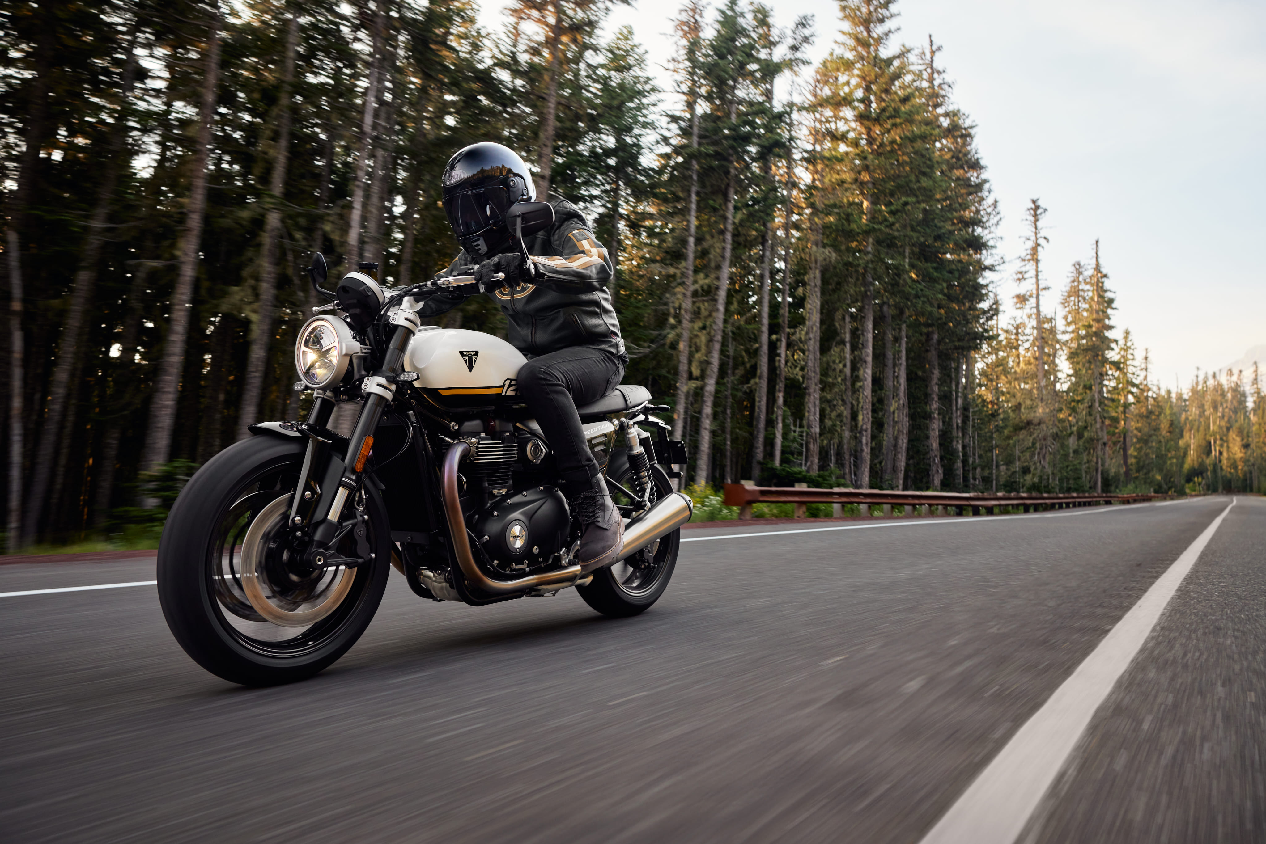 Triumph Speed Twin 1200 FAQs – Most Asked Questions & Expert Answers ...